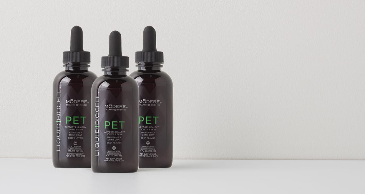 Modere Liquid Biocell® Pet (3Ct) - Wellness Essence